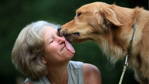 Si faceva leccare il viso dal cane, ora rischia la morte!!